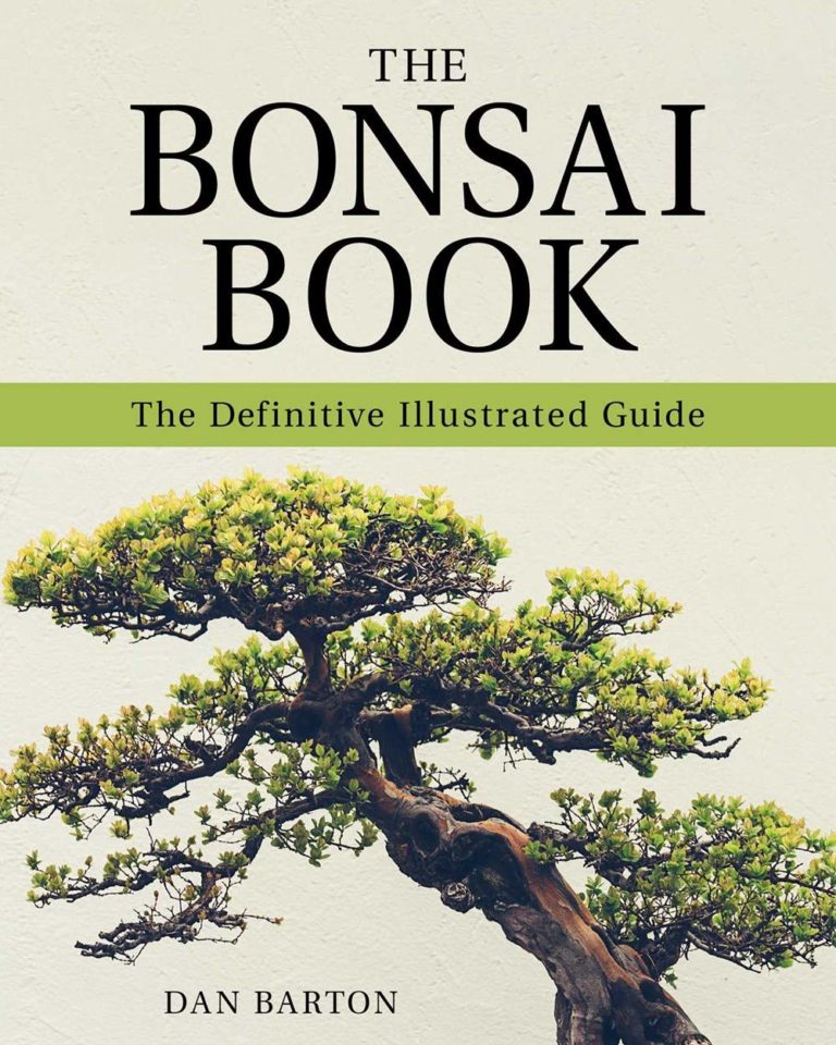 How to grow a Bonsai tree - Grow a Bonsai