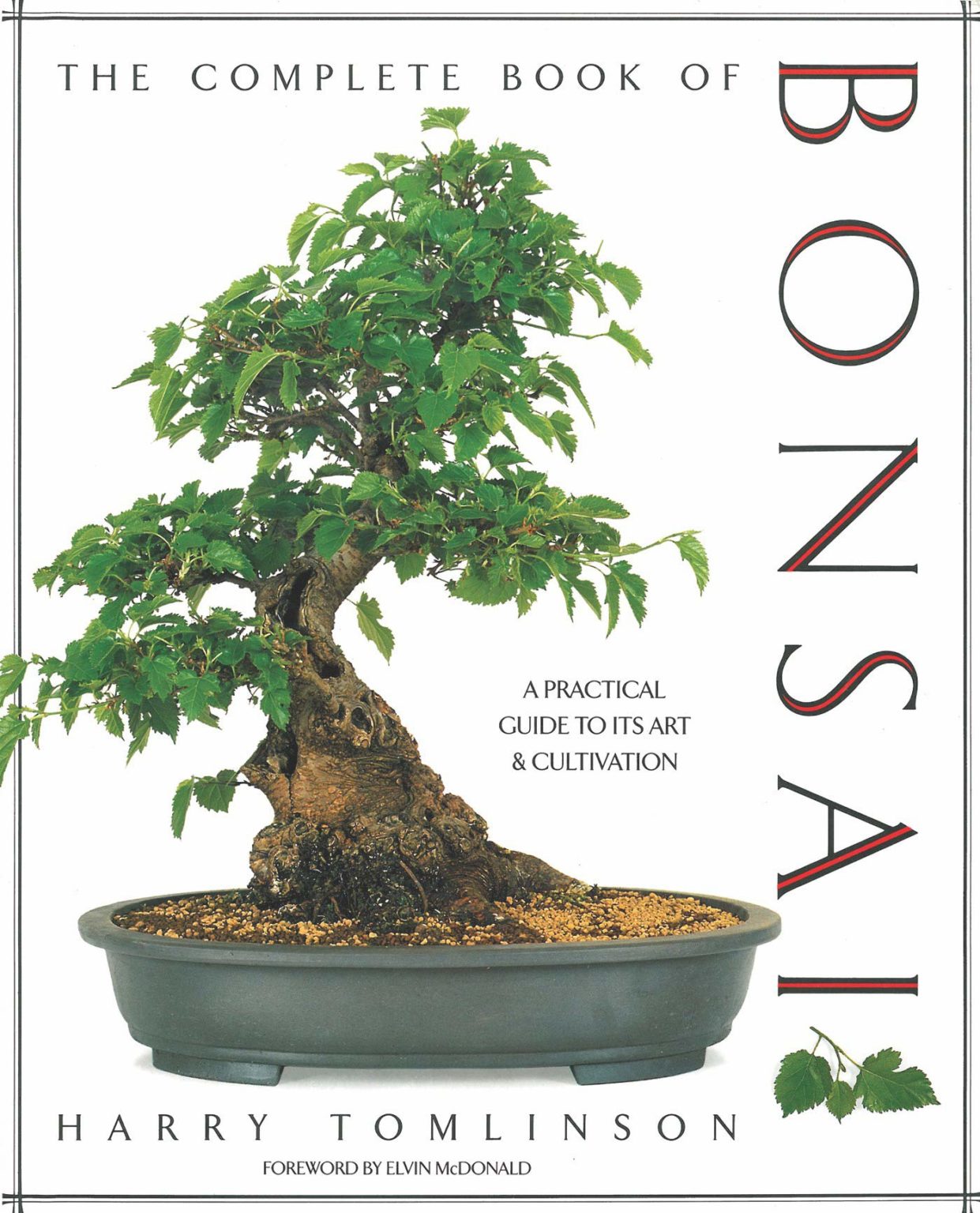 How to grow a Bonsai tree - Grow a Bonsai